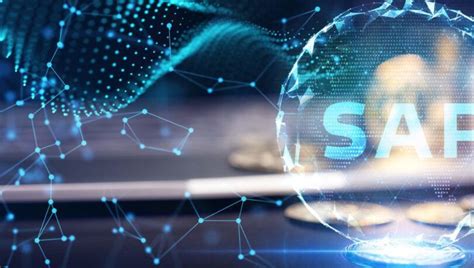 Sap License Audit Process 2 Types Of Audits Npi