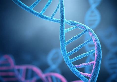 Do Genetics Influence Oral Health Must Read 2