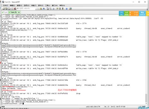 Mysql Binlog恢复数据实战 阿里云开发者社区