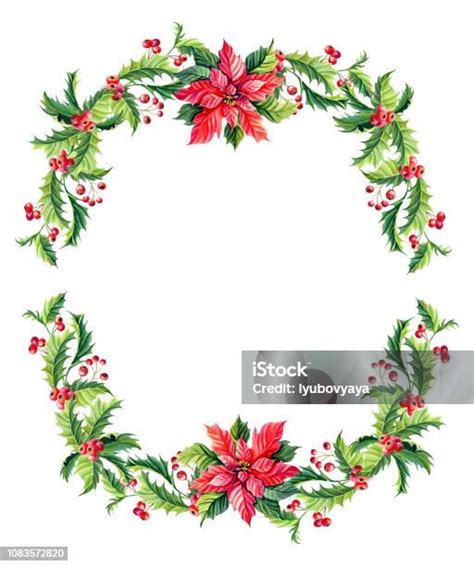 수채화 메리 크리스마스 프레임 빨간 포 인 세 티아와 꽃 홀리 잎 열매 소나무 가문비나무 녹색 나뭇가지에 화이트 0명에 대한 스톡 벡터 아트 및 기타 이미지 Istock