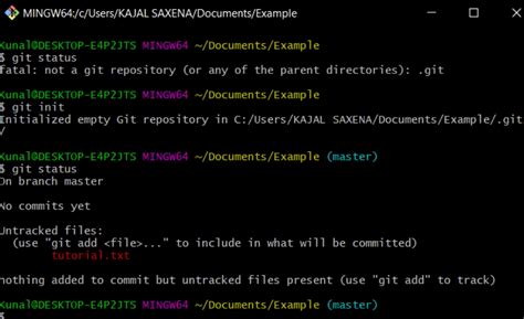 Git First Commands Naukri Code