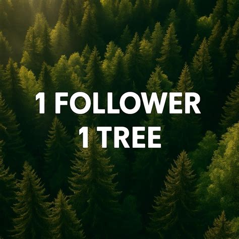 Berlo Berlo Club • Instagram Photos And Videos