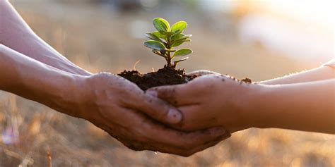 Un viaje hacia la sostenibilidad de la agricultura en América Latina y
