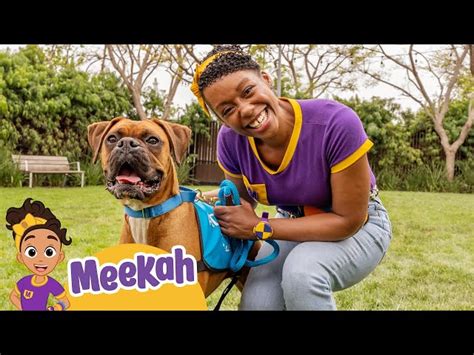 Meekah Plays With Puppies Makes A Fur Ever Friend Blippi And Meekah
