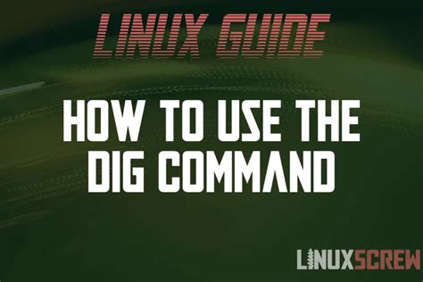 How To Use The Dig Command [with Examples]