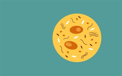 Silver Staining Protocol Conduct Science