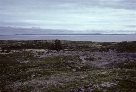 Alagnak River Alaska Org