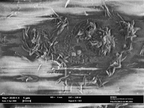 Representative Surface Microstructure Of A Film Sample 434 Deposited