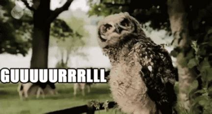 Gurl Owl S Wiffle