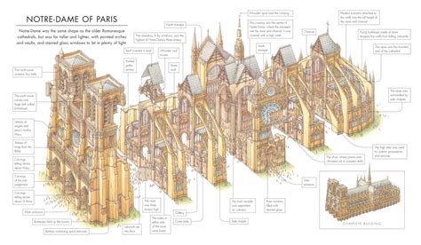 Notre Dame Paris Floor Plan