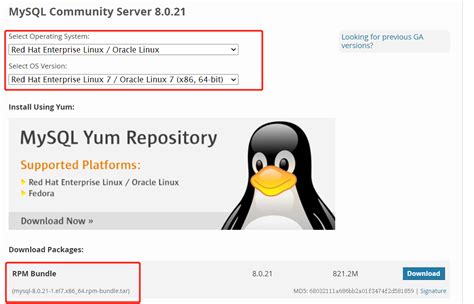 Centos 离线安装mysql 以及在线安装 菜鸟成长历程 博客园 Centos 离线安装mysql 以及在线安装 菜鸟成长历程 博客园