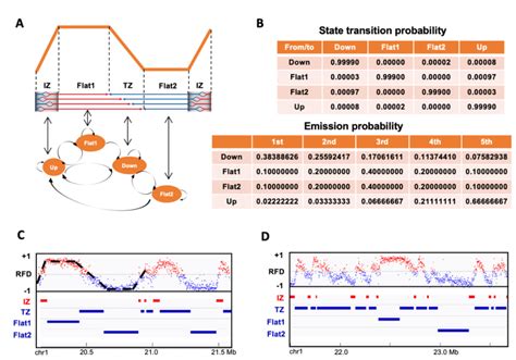 Schematic Presentation Of Hmm Algorithm For Initiation And Termination