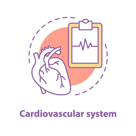 Cardiovascular System Concept Icon Cardiology Idea Thin Line Illustration Healthcare Human