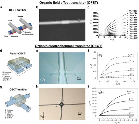 Organic Field Effect Transistor Working Principle At Sandra Raines Blog