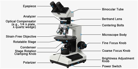 Binocular Polarizing Microscope For Mineralogy