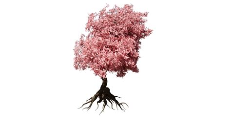 3dt Stylized Cherry Tree Geometry Node Superhive Formerly Blender