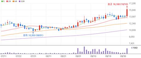 와이바이오로직스 배당금주가 전망실적발표2024 Review Or Not