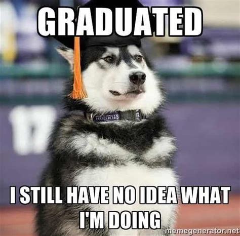 300 Husky Memes