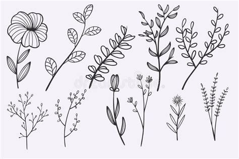 Flower Leaves Doodle Hand Drawn Vector Illustration Set Stock