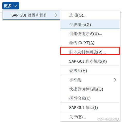 sap脚本录制和回放 sap脚本录制和回放是灰色的 csdn博客