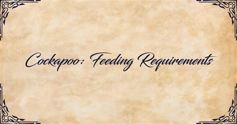 Feeding Requirements Of Cockapoo