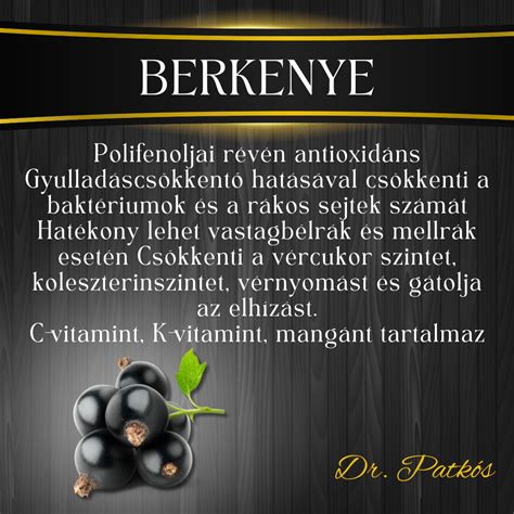 Berkenye Gyógyesszencia Dr Patkós József Gyógyesszencia Webshop