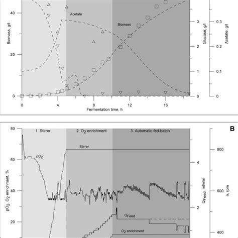 A Fed Batch Cultivation Of E Coli Analytic Measurements Of Biomass Download Scientific