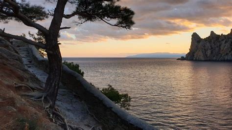 Towards Data Science On Linkedin Generating Sentence Level Embedding