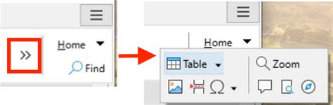 Chapter 21 User Interface Variants