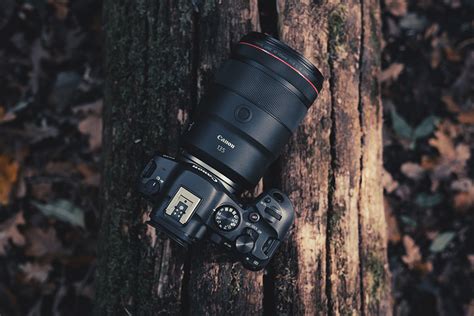 Canon EOS R6 II Review Mark I Vs Mark II Park Cameras