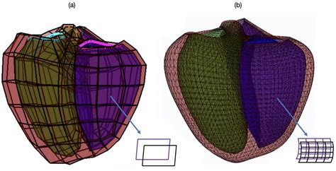 Geometric Deep Learning For Cardiac Motion Analysis Epsrc Cdt In Smart Medical Imaging