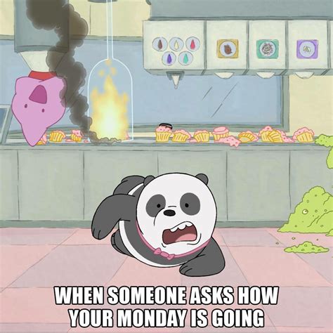 Bare Bears Memes Southcoast Business Black Bear Memes [photos]