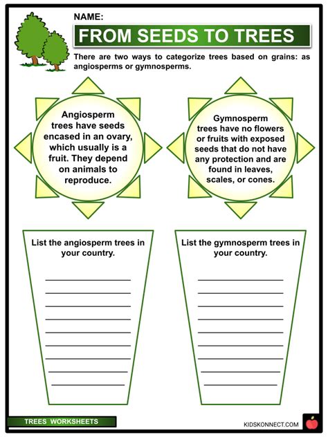 Trees Facts And Worksheets And Examples Pdf Download Worksheets Library