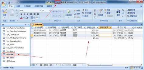 Access2007数据库快速开发教程（九） 【access软件网】