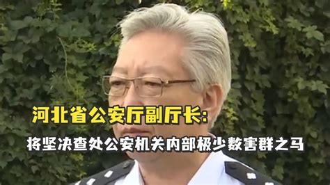 河北省公安厅副厅长将坚决查处公安机关内部极少数害群之马绝不姑息 凤凰网视频 凤凰网