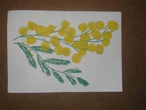 Ветка Мимозы Рисунок В Детском Саду 62 Фото