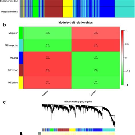 Hub Module Selection A Dendrogram Of All Differentially Expressed