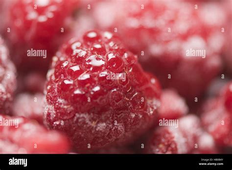 Single Raspberry Sharp Stock Photo Alamy