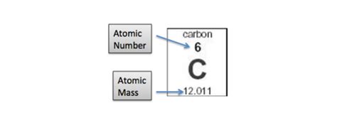 Isotope Examples Types Identification Lesson Study Com