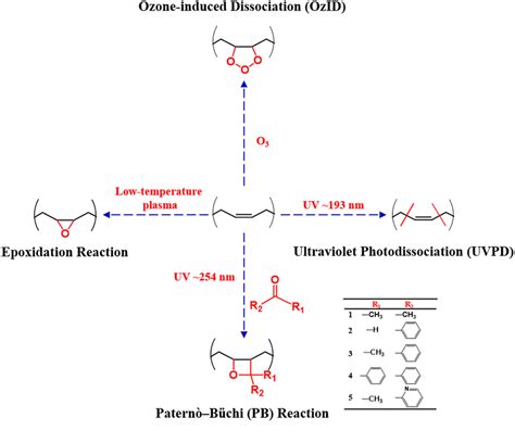 Chemical Derivatization Methods Have Been Developed To Target Download Scientific Diagram
