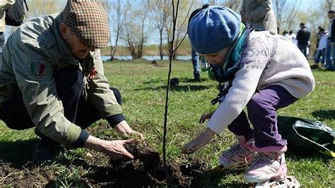 Прийшла весна які рослини можна садити у відкритий грунт вже у березні Інформатор Кривий Ріг