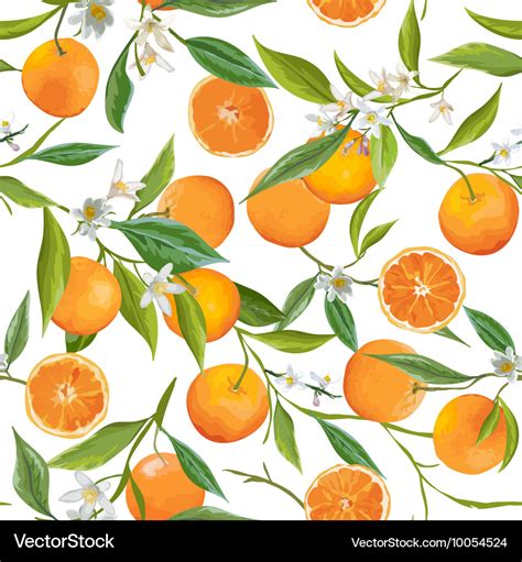 Seamless Pattern Orange Fruits Background Vector Image