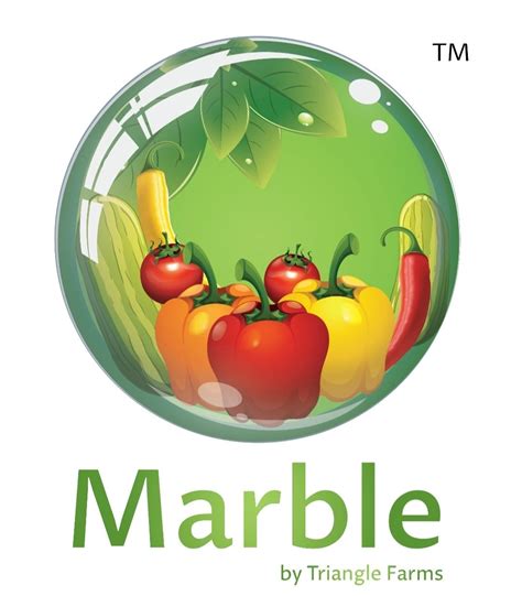 Amit Kumar Verma On Linkedin In Search Of An Excellenceharvesting