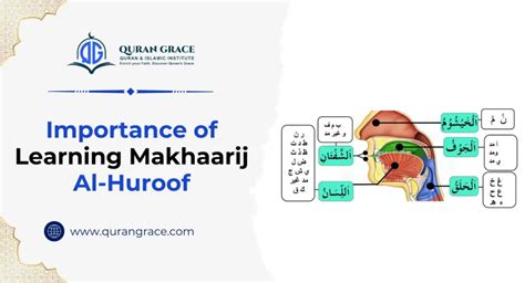 What Is Haroof E Muqataat Complete Guide Quran Grace