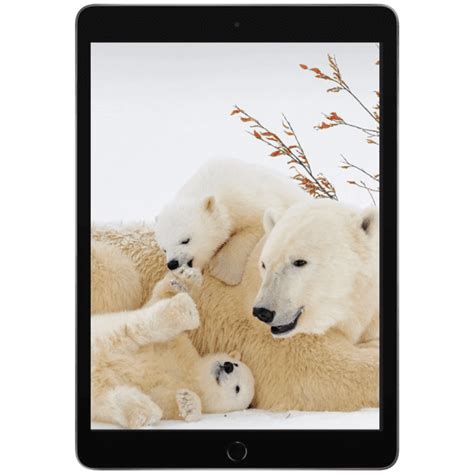 راهنمای خرید بهترین تبلت گیمینگ؛ لذت بازی کردن با نمایشگر بزرگ • دیجی‌کالا مگ