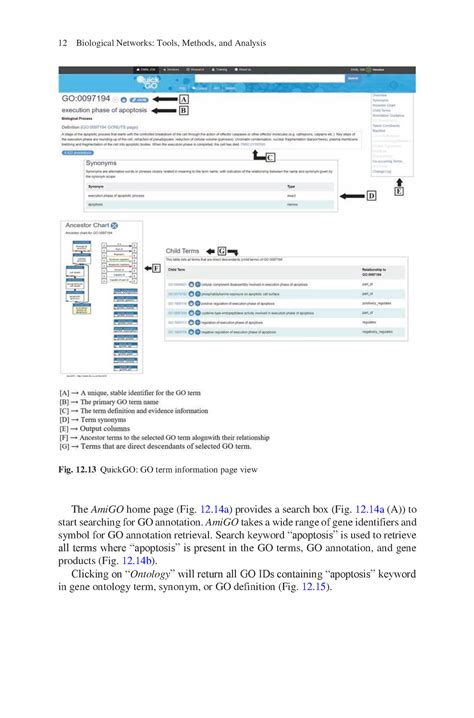 Essentials Of Bioinformatics Notes 69 12 Biological Networks Tools