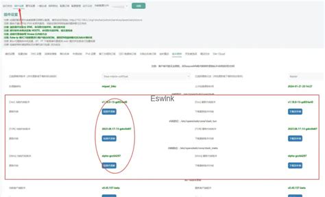 「技术教程」openwrt配置openclash教程及解决启动问题 Eswlnk Blog