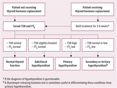 Hypothyroidism Evaluation And Management By Dr Selim Ppt Thyroid