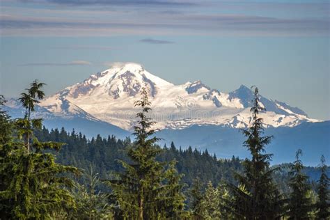 Mount Baker Volcano In Late Afternoon Light Stock Image Image Of