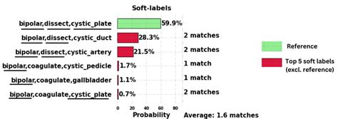 Example Of Generated Soft Labels With Reference In Green And Top 5